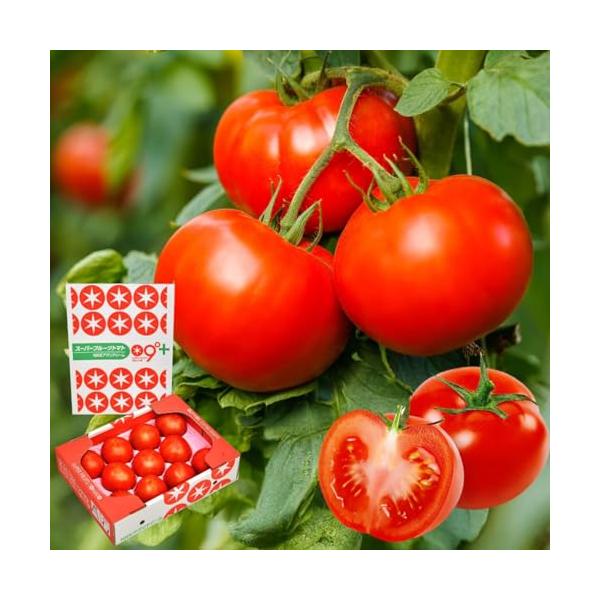 ※メーカー都合によりパッケージ等の外装面で異なる場合がございますので、あらかじめご了承くださいませ(免責) 画像は見本(イメージ)です。画像内に写った期限は撮影時のものであり、お届けする商品は期限内となります。詳細な期限については直接お問合...