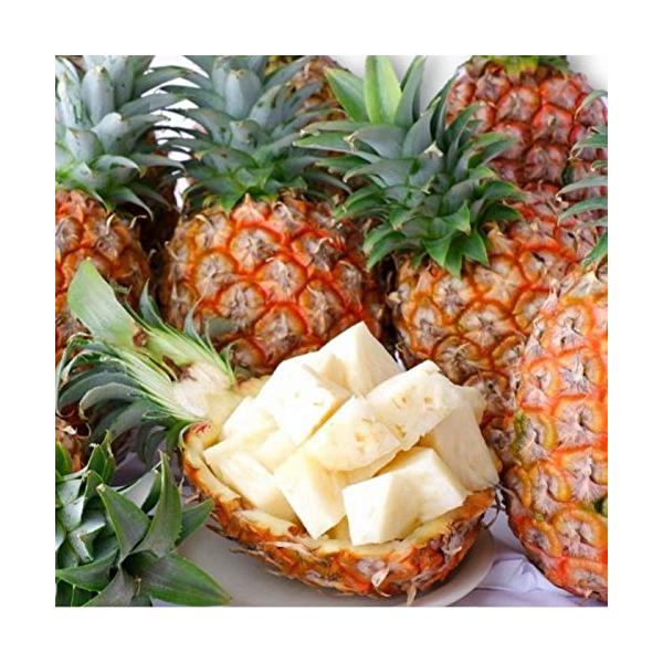 ※メーカー都合によりパッケージ等の外装面で異なる場合がございますので、あらかじめご了承くださいませ(免責) 画像は見本(イメージ)です。画像内に写った期限は撮影時のものであり、お届けする商品は期限内となります。詳細な期限については直接お問合...