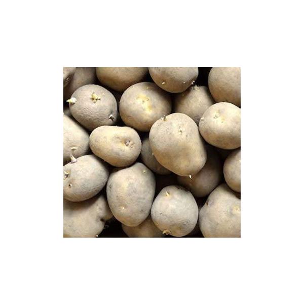 ※メーカー都合によりパッケージ等の外装面で異なる場合がございますので、あらかじめご了承くださいませ(免責) 画像は見本(イメージ)です。画像内に写った期限は撮影時のものであり、お届けする商品は期限内となります。詳細な期限については直接お問合...