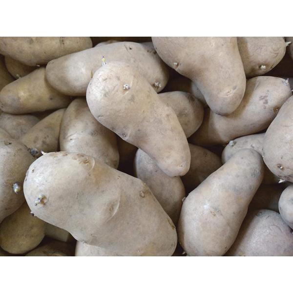 ※メーカー都合によりパッケージ等の外装面で異なる場合がございますので、あらかじめご了承くださいませ(免責) 画像は見本(イメージ)です。画像内に写った期限は撮影時のものであり、お届けする商品は期限内となります。詳細な期限については直接お問合...