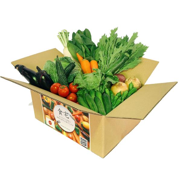 ※メーカー都合によりパッケージ等の外装面で異なる場合がございますので、あらかじめご了承くださいませ(免責) 画像は見本(イメージ)です。画像内に写った期限は撮影時のものであり、お届けする商品は期限内となります。詳細な期限については直接お問合...