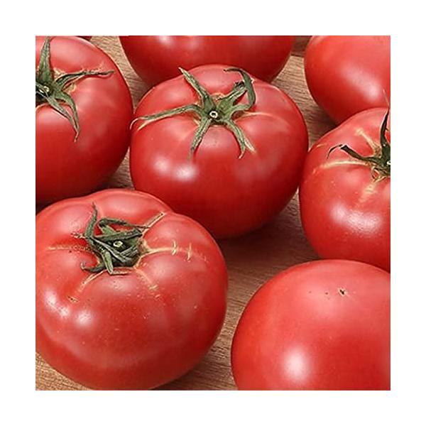 ※メーカー都合によりパッケージ等の外装面で異なる場合がございますので、あらかじめご了承くださいませ(免責) 画像は見本(イメージ)です。画像内に写った期限は撮影時のものであり、お届けする商品は期限内となります。詳細な期限については直接お問合...