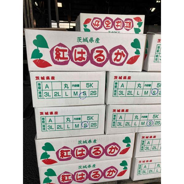 ※メーカー都合によりパッケージ等の外装面で異なる場合がございますので、あらかじめご了承くださいませ(免責) 画像は見本(イメージ)です。画像内に写った期限は撮影時のものであり、お届けする商品は期限内となります。詳細な期限については直接お問合...