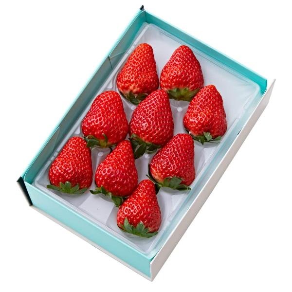 ※メーカー都合によりパッケージ等の外装面で異なる場合がございますので、あらかじめご了承くださいませ(免責) 画像は見本(イメージ)です。画像内に写った期限は撮影時のものであり、お届けする商品は期限内となります。詳細な期限については直接お問合...