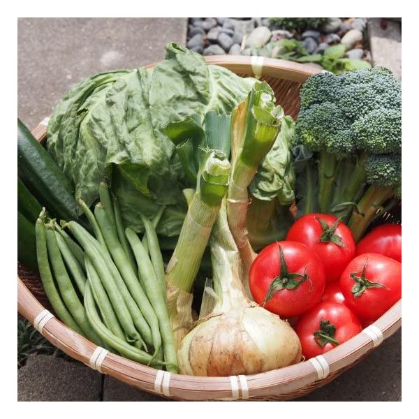 ※メーカー都合によりパッケージ等の外装面で異なる場合がございますので、あらかじめご了承くださいませ(免責) 画像は見本(イメージ)です。画像内に写った期限は撮影時のものであり、お届けする商品は期限内となります。詳細な期限については直接お問合...