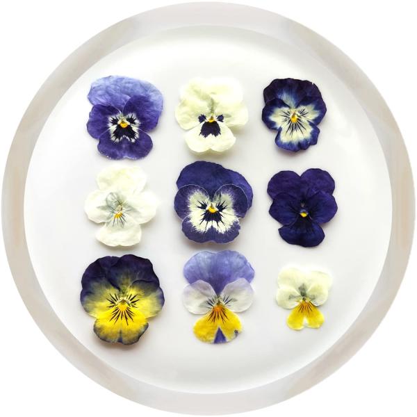 ※メーカー都合によりパッケージ等の外装面で異なる場合がございますので、あらかじめご了承くださいませ(免責) 画像は見本(イメージ)です。画像内に写った期限は撮影時のものであり、お届けする商品は期限内となります。詳細な期限については直接お問合...