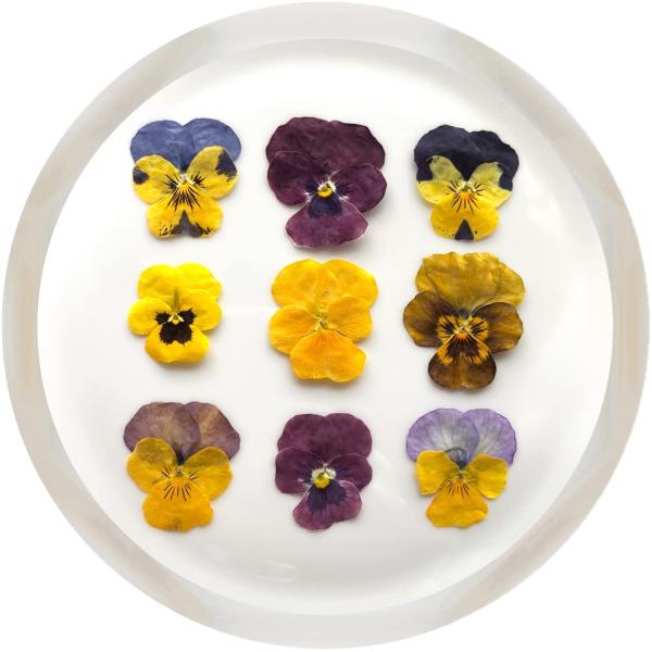 ※メーカー都合によりパッケージ等の外装面で異なる場合がございますので、あらかじめご了承くださいませ(免責) 画像は見本(イメージ)です。画像内に写った期限は撮影時のものであり、お届けする商品は期限内となります。詳細な期限については直接お問合...