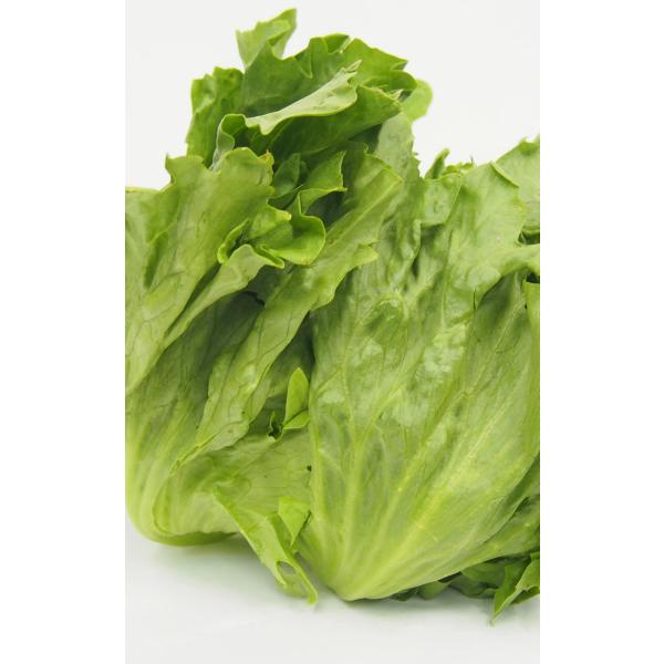 ※メーカー都合によりパッケージ等の外装面で異なる場合がございますので、あらかじめご了承くださいませ(免責) 画像は見本(イメージ)です。画像内に写った期限は撮影時のものであり、お届けする商品は期限内となります。詳細な期限については直接お問合...