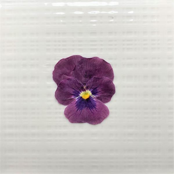 ※メーカー都合によりパッケージ等の外装面で異なる場合がございますので、あらかじめご了承くださいませ(免責) 画像は見本(イメージ)です。画像内に写った期限は撮影時のものであり、お届けする商品は期限内となります。詳細な期限については直接お問合...