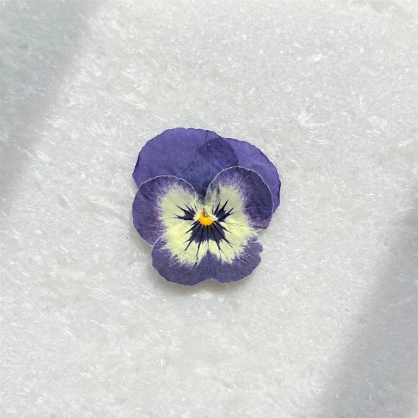 ※メーカー都合によりパッケージ等の外装面で異なる場合がございますので、あらかじめご了承くださいませ(免責) 画像は見本(イメージ)です。画像内に写った期限は撮影時のものであり、お届けする商品は期限内となります。詳細な期限については直接お問合...