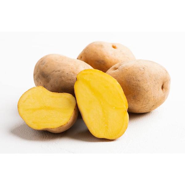 ※メーカー都合によりパッケージ等の外装面で異なる場合がございますので、あらかじめご了承くださいませ(免責) 画像は見本(イメージ)です。画像内に写った期限は撮影時のものであり、お届けする商品は期限内となります。詳細な期限については直接お問合...