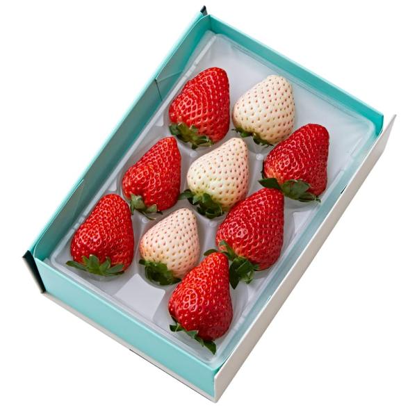 ※メーカー都合によりパッケージ等の外装面で異なる場合がございますので、あらかじめご了承くださいませ(免責) 画像は見本(イメージ)です。画像内に写った期限は撮影時のものであり、お届けする商品は期限内となります。詳細な期限については直接お問合...