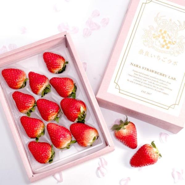 ※メーカー都合によりパッケージ等の外装面で異なる場合がございますので、あらかじめご了承くださいませ(免責) 画像は見本(イメージ)です。画像内に写った期限は撮影時のものであり、お届けする商品は期限内となります。詳細な期限については直接お問合...