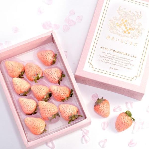 ※メーカー都合によりパッケージ等の外装面で異なる場合がございますので、あらかじめご了承くださいませ(免責) 画像は見本(イメージ)です。画像内に写った期限は撮影時のものであり、お届けする商品は期限内となります。詳細な期限については直接お問合...