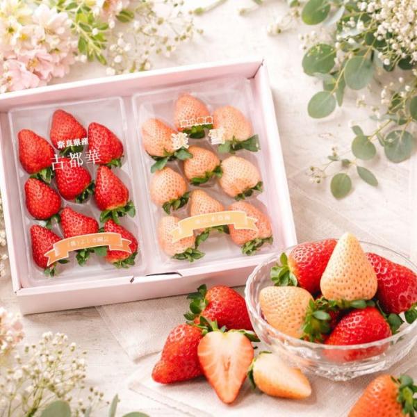 ※メーカー都合によりパッケージ等の外装面で異なる場合がございますので、あらかじめご了承くださいませ(免責) 画像は見本(イメージ)です。画像内に写った期限は撮影時のものであり、お届けする商品は期限内となります。詳細な期限については直接お問合...