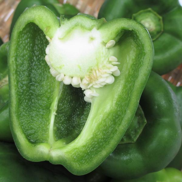 ※メーカー都合によりパッケージ等の外装面で異なる場合がございますので、あらかじめご了承くださいませ(免責) 画像は見本(イメージ)です。画像内に写った期限は撮影時のものであり、お届けする商品は期限内となります。詳細な期限については直接お問合...