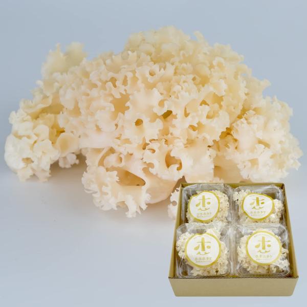 ※メーカー都合によりパッケージ等の外装面で異なる場合がございますので、あらかじめご了承くださいませ(免責) 画像は見本(イメージ)です。画像内に写った期限は撮影時のものであり、お届けする商品は期限内となります。詳細な期限については直接お問合...