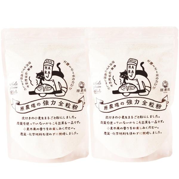 ※メーカー都合によりパッケージ等の外装面で異なる場合がございますので、あらかじめご了承くださいませ(免責) 画像は見本(イメージ)です。画像内に写った期限は撮影時のものであり、お届けする商品は期限内となります。詳細な期限については直接お問合...