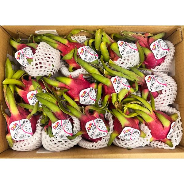 ※メーカー都合によりパッケージ等の外装面で異なる場合がございますので、あらかじめご了承くださいませ(免責) 画像は見本(イメージ)です。画像内に写った期限は撮影時のものであり、お届けする商品は期限内となります。詳細な期限については直接お問合...