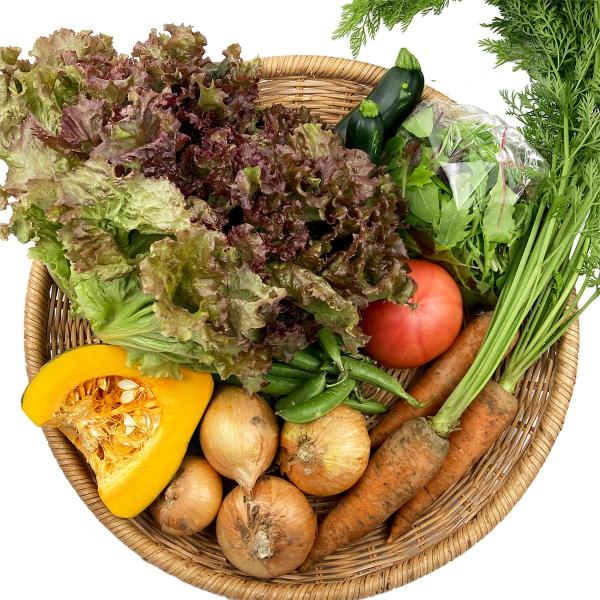 ※メーカー都合によりパッケージ等の外装面で異なる場合がございますので、あらかじめご了承くださいませ(免責) 画像は見本(イメージ)です。画像内に写った期限は撮影時のものであり、お届けする商品は期限内となります。詳細な期限については直接お問合...