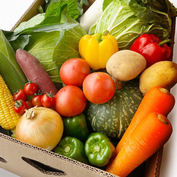 ※メーカー都合によりパッケージ等の外装面で異なる場合がございますので、あらかじめご了承くださいませ(免責) 画像は見本(イメージ)です。画像内に写った期限は撮影時のものであり、お届けする商品は期限内となります。詳細な期限については直接お問合...