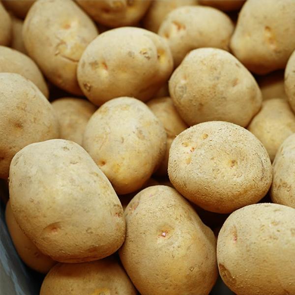 ※メーカー都合によりパッケージ等の外装面で異なる場合がございますので、あらかじめご了承くださいませ(免責) 画像は見本(イメージ)です。画像内に写った期限は撮影時のものであり、お届けする商品は期限内となります。詳細な期限については直接お問合...