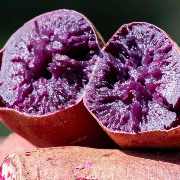 ※メーカー都合によりパッケージ等の外装面で異なる場合がございますので、あらかじめご了承くださいませ(免責) 画像は見本(イメージ)です。画像内に写った期限は撮影時のものであり、お届けする商品は期限内となります。詳細な期限については直接お問合...