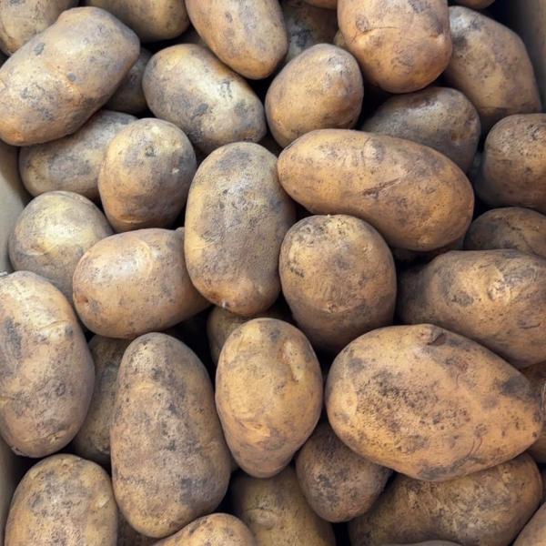 ※メーカー都合によりパッケージ等の外装面で異なる場合がございますので、あらかじめご了承くださいませ(免責) 画像は見本(イメージ)です。画像内に写った期限は撮影時のものであり、お届けする商品は期限内となります。詳細な期限については直接お問合...