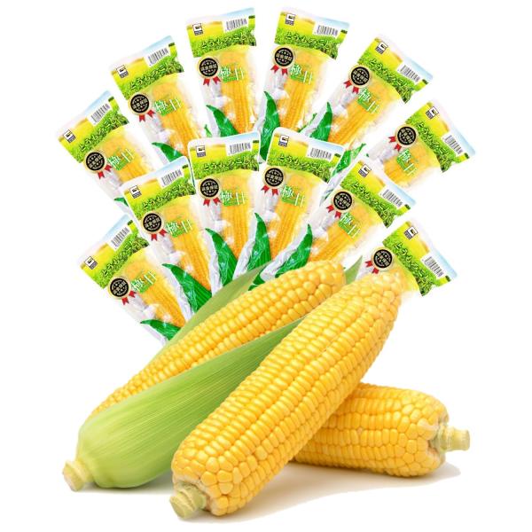 ※メーカー都合によりパッケージ等の外装面で異なる場合がございますので、あらかじめご了承くださいませ(免責) 画像は見本(イメージ)です。画像内に写った期限は撮影時のものであり、お届けする商品は期限内となります。詳細な期限については直接お問合...