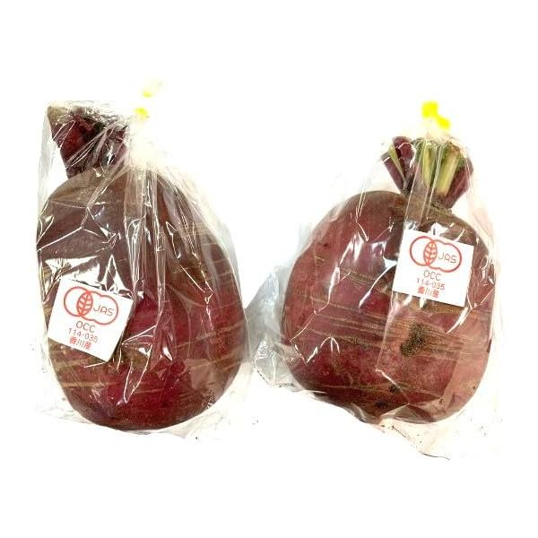 ※メーカー都合によりパッケージ等の外装面で異なる場合がございますので、あらかじめご了承くださいませ(免責) 画像は見本(イメージ)です。画像内に写った期限は撮影時のものであり、お届けする商品は期限内となります。詳細な期限については直接お問合...