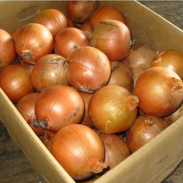 ※メーカー都合によりパッケージ等の外装面で異なる場合がございますので、あらかじめご了承くださいませ(免責) 画像は見本(イメージ)です。画像内に写った期限は撮影時のものであり、お届けする商品は期限内となります。詳細な期限については直接お問合...