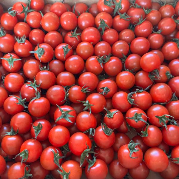 ※メーカー都合によりパッケージ等の外装面で異なる場合がございますので、あらかじめご了承くださいませ(免責) 画像は見本(イメージ)です。画像内に写った期限は撮影時のものであり、お届けする商品は期限内となります。詳細な期限については直接お問合...