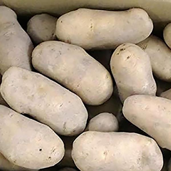 ※メーカー都合によりパッケージ等の外装面で異なる場合がございますので、あらかじめご了承くださいませ(免責) 画像は見本(イメージ)です。画像内に写った期限は撮影時のものであり、お届けする商品は期限内となります。詳細な期限については直接お問合...