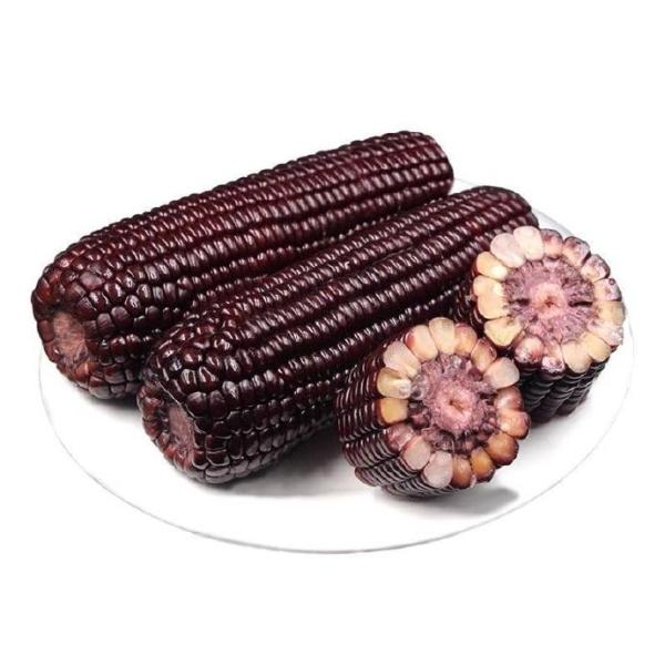 ※メーカー都合によりパッケージ等の外装面で異なる場合がございますので、あらかじめご了承くださいませ(免責) 画像は見本(イメージ)です。画像内に写った期限は撮影時のものであり、お届けする商品は期限内となります。詳細な期限については直接お問合...