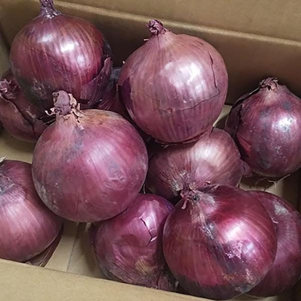 ※メーカー都合によりパッケージ等の外装面で異なる場合がございますので、あらかじめご了承くださいませ(免責) 画像は見本(イメージ)です。画像内に写った期限は撮影時のものであり、お届けする商品は期限内となります。詳細な期限については直接お問合...