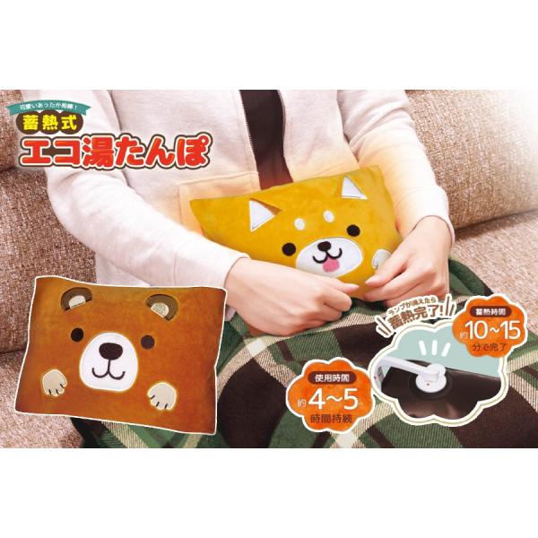 [サイズ]  本体サイズ：約幅23×奥行き4.5×高さ17cm[重　量] 約1100g[材　質]  本体：ポリエステル、ABS、PVC 専用ケース：ポリエステル[仕　様] 電源：AC100V　50/60Hｚ表面温度：約60℃（蓄熱直後）蓄熱...