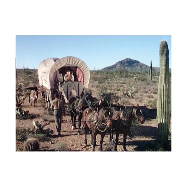 砂塵舞う大平原とともに生きるならず者たちの傑作集。ボックス内容（日本語字幕）■ 悪漢バスコム 110分／モノクロ／1946年■ サンアントニオの復讐 90分／モノクロ／1953年■ 消えた地図 89分／カラー／1948年■ 酋長コチース 7...