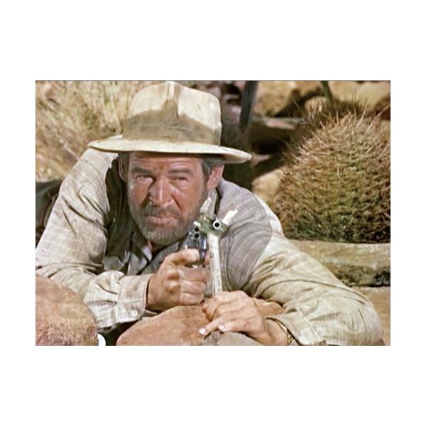 1. 容疑者81分 モノクロ 1944年主演:チャールズ・ロートン、エラ・レインズ2. 私は殺さない80分 モノクロ 1947年主演:ロバート・ヤング、スーザン・ヘイワード、ジェーン・グリア3. 生きてる死骸92分 モノクロ 1941年主演...