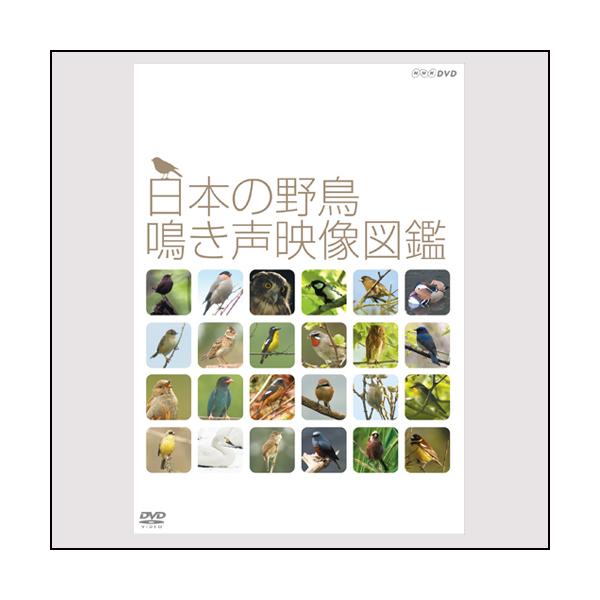 さえずりに癒される　NHKの膨大な資料映像から厳選した特選集