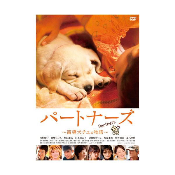 訓練士見習いの小山内は、初めて担当する訓練犬のチエと良好な関係を築けず困っていた。そんな中、事故で失明した女性歌手が訓練所へやって来る。盲導犬育成の過程も学べて面白い、心温まる成長物語。●出演:浅利陽介／大塚ちひろ／村田雄浩／川上麻衣子（H...