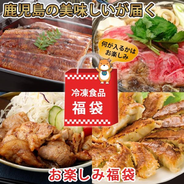 商品情報商品名：【お楽しみ福袋D】うなぎ1尾が必ず入る！セット内容：6品以上お届け賞味期限：冷凍で50日原材料名：商品ページ下記に記載しております。ご確認ください。販売者：（株）薩摩川内市観光物産協会 商品説明：鹿児島の美味しいを試せる福袋...