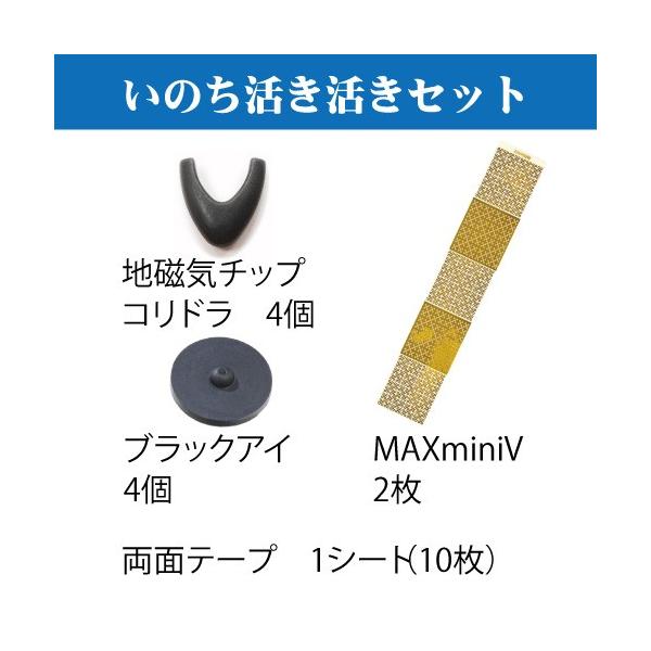 【セット内容】●地磁気チップコリドラ×4個●丸山式コイルブラックアイ×4個●MAXmini V×2枚●両面テープ×1シート(10枚)（製造元） 株式会社　ユニカ