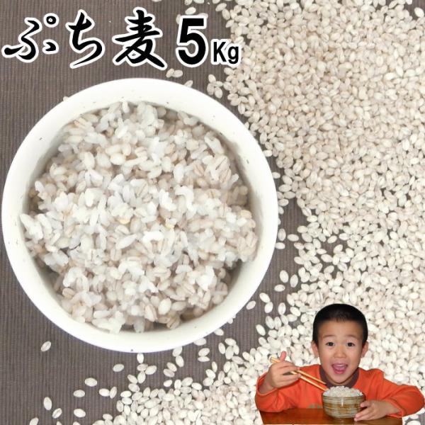 お米と一緒に炊くとプチプチとした食感が美味しい麦ご飯、それがぷち麦(ぷちばく)です。裸麦の胚芽も残っていますので、美味しさも栄養もバッチリ。押麦の麦ご飯や雑穀米に飽きた方も是非このプチプチとした美味しい食感の麦飯をお楽しみ下さい。裸麦は農薬...