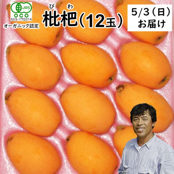 【発売日：2026年04月26日】朝穫りオーガニック栽培の枇杷(びわ)をその日の内にクール便で産地直送。他の果物と違い枇杷(びわ)は追熟しないので美味しい期間は収穫後１週間！店頭では味わえないみずみずしくてしっかり甘い至福の美味しさ絶品フル...