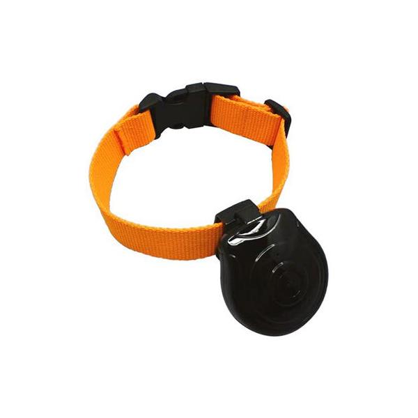 Broadwatch ペットの目線を記録・ペット用カメラHD PETCAM-TF-HD 見守り 留守 小型 動画撮影 録画 ビデオ 写真 インターバル撮影 監視カメラ 防犯 行動観察 ペット用品 新品 送料無料