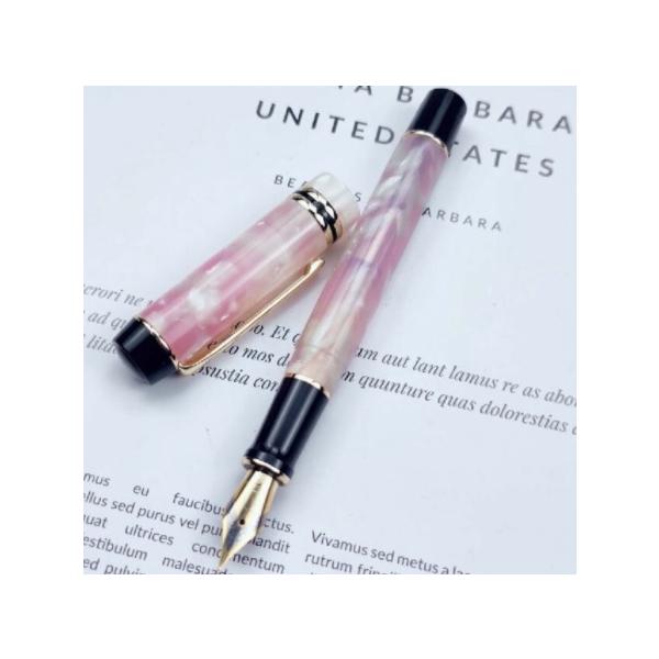 万年筆 Kaigelu 316 万年筆 大理石風デザイン ピンク ニブＭ FOUNTAIN PEN ミディアム ニブ 中字 細字 0.5mm カートリッジ コンバーター式 両用 インク吸入式 新品 送料無料