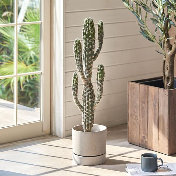 ■サイズ(cm)約 W 12.5 × D 12.5 × H 71ポット：約 直径 12.5 × H 11.5※多少サイズは前後します。■重量約 1.3kg■素材ビニール・プラスチック■ご注意※細かい繊維が飛散する場合があります。お取り扱いに...