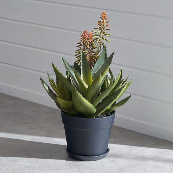 ■サイズ(cm)約 W24 × D24 × H42ポットサイズ：約 H13、直径 166号鉢サイズ※多少サイズは前後します。■重量約 1.2kg■素材ビニール・プラスチック製■ご注意※商品によってサイズや形の個体差がございます。※屋内装飾用...