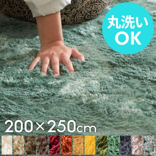 ■商品サイズ(cm):縦幅：約200cm　横幅：約250cm　厚み：約2.5cm■重量：約4.1kg■素材：表面：ポリエステル100%　中材：ウレタンフォーム　裏面：ポリエステル不織布■備考：ウォッシャブル対応　ホットカーペットカバー対応　...