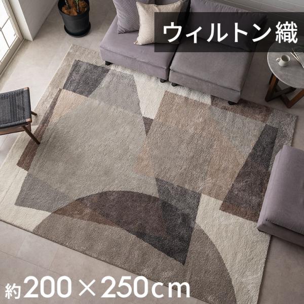 ■サイズ(cm)約 W 200 × D 250 × H 1毛足の長さ：約 0.6cm※商品の厚みは毛足の方向によって異なります。※多少サイズは前後します。■重量約 13 kg■素材ポリプロピレン100%■生産国エジプト■梱包形態折りたたみ■...